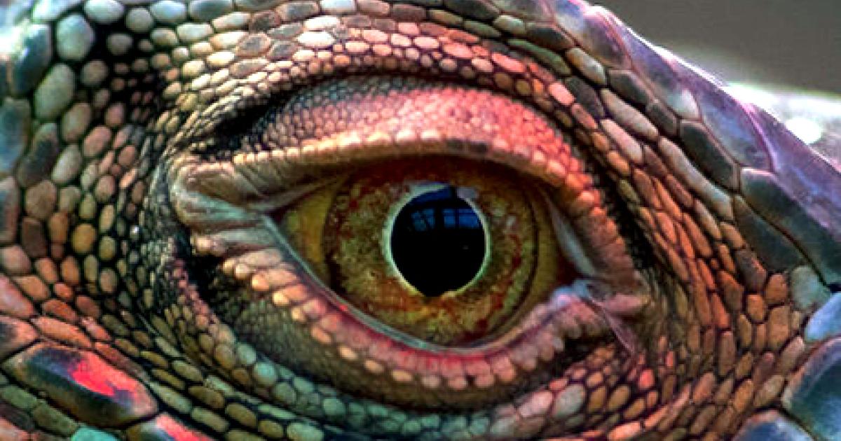 Music Theory Crash Course: Scales | Chorus America